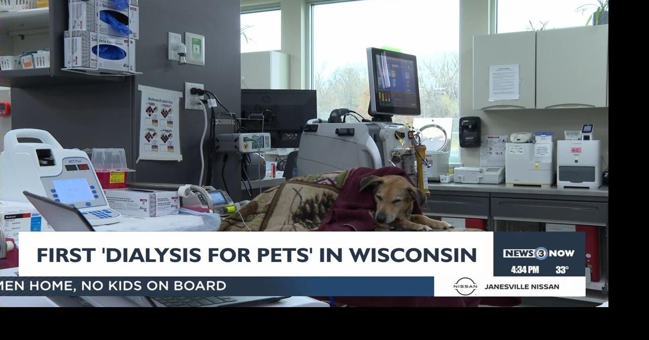 Madison veterinary is first to offer "dialysis for pets" in Wisconsin ...