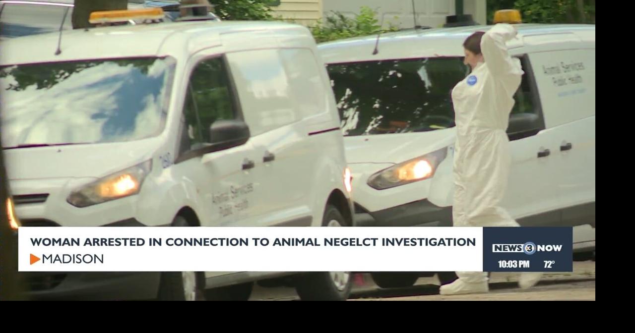 Woman arrested in connection to animal neglect investigation | Video ...