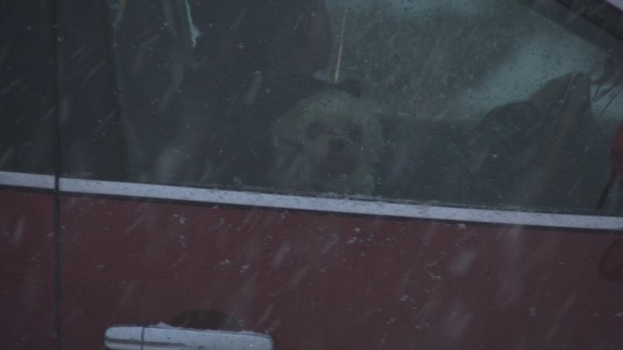 PHOTOS: Snowy scenes from around Madison | Local News | channel3000.com