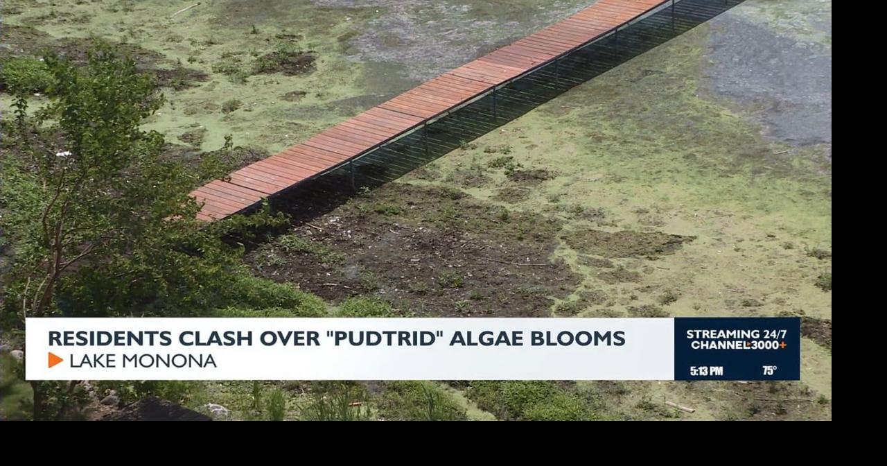 'Putrid' algae plagues Lake Monona shore | News | channel3000.com