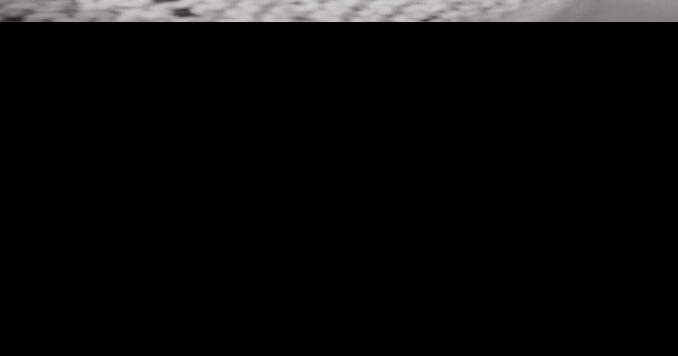 Jack Doran Harwick | Obituaries | channel3000.com