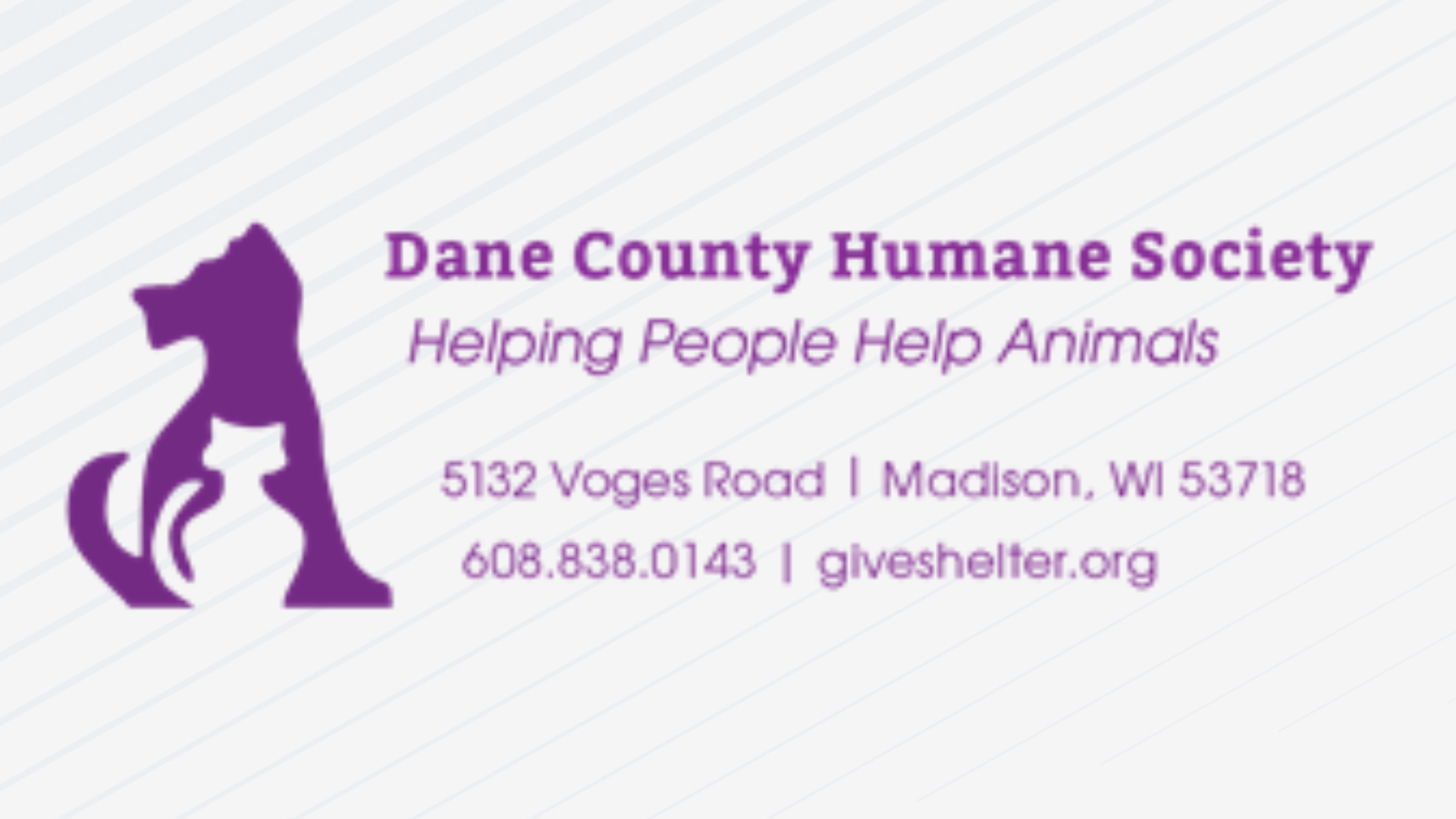 Dane County Humane Society hosts fee-waived adoption events in October ...