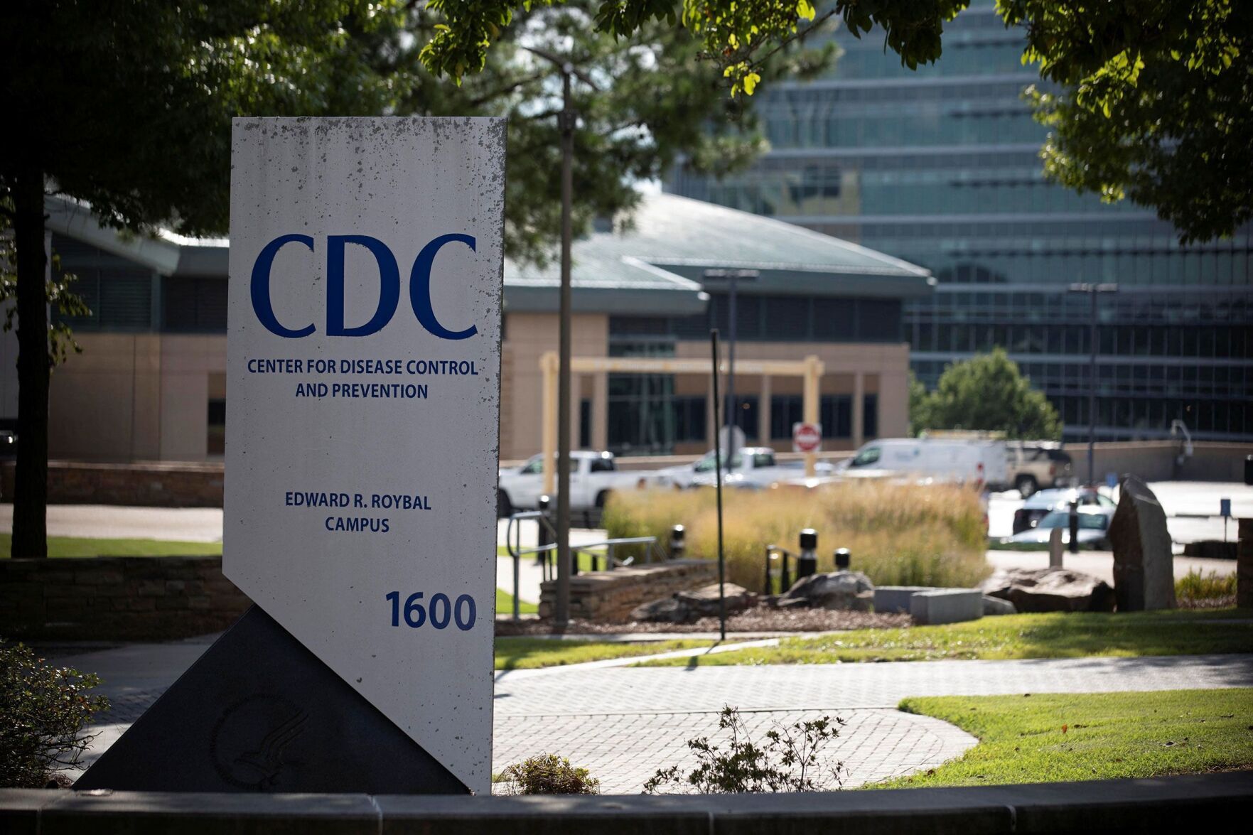 CDC adopts advisers’ recommendation against universal hepatitis B ...
