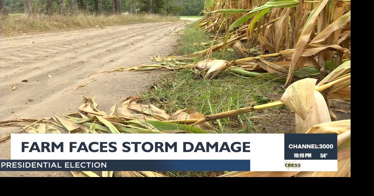 Farmer says it’s time to ‘buckle up’ after experiencing storm damage on ...