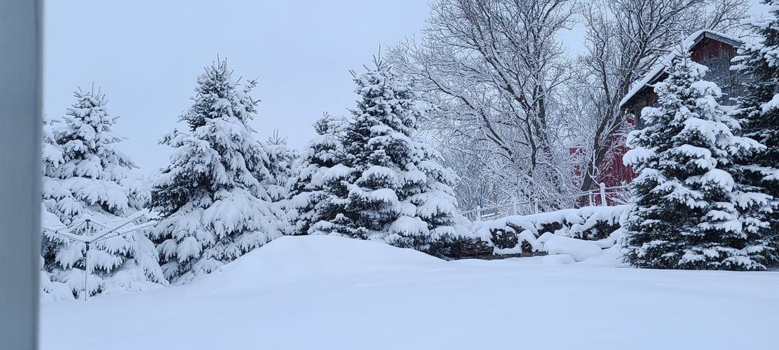 PHOTOS: Heavy March snowfall leaves behind some beautiful scenes ...