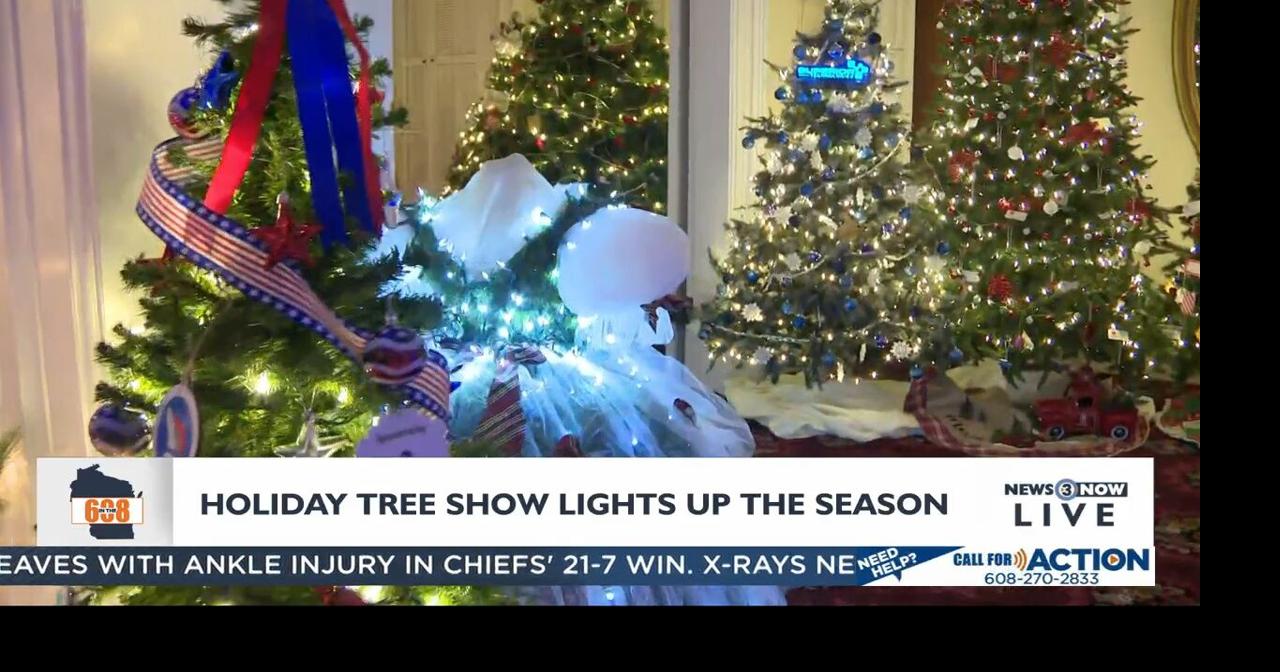 In the 608: Lincoln-Tallman Museum Holiday Tree Show lights up the ...