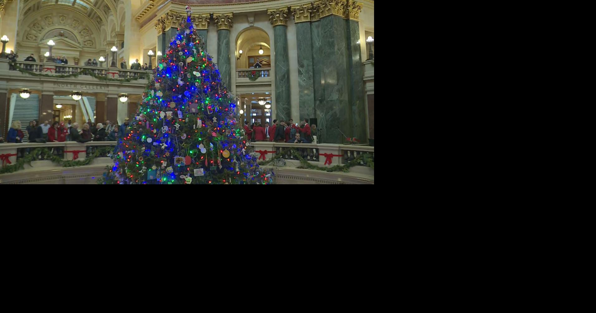 Meet 'Mr. Frank': Lights flipped on for Wisconsin Capitol holiday tree ...