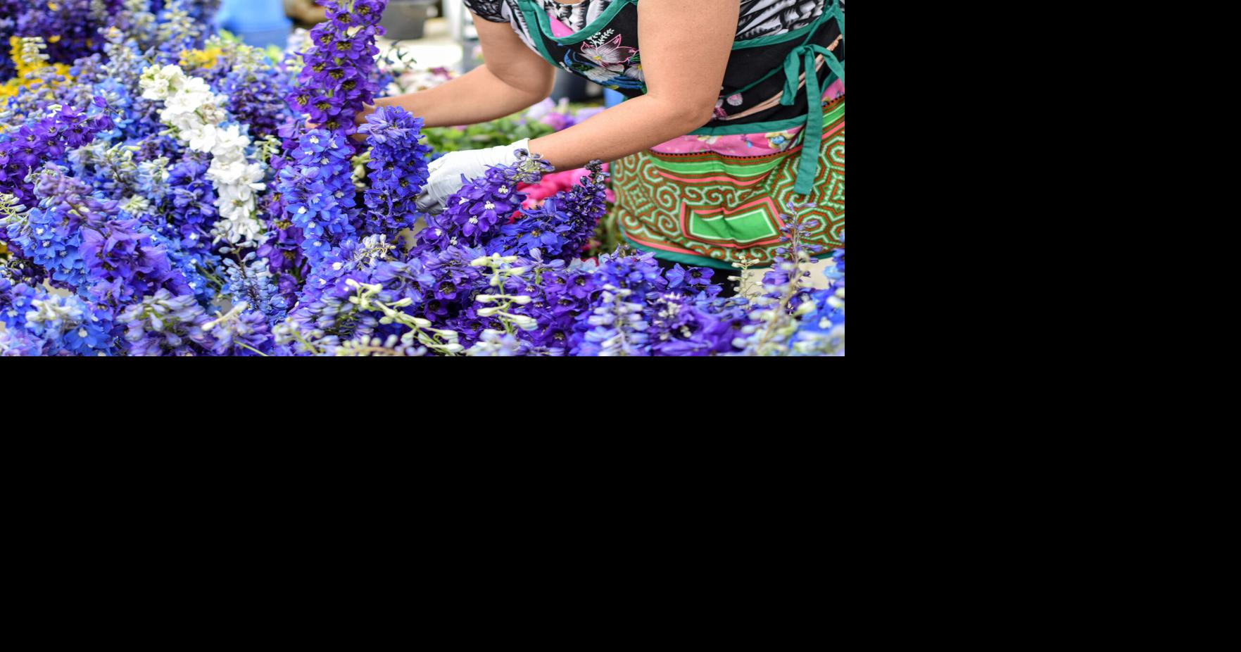 Dane Co. Farmer's Market returns to Capitol Square April 11 | News ...