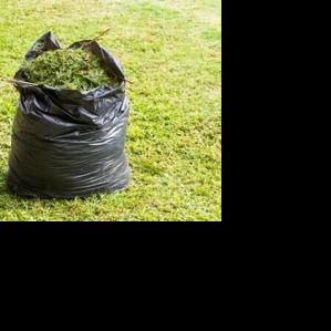 Madison spring yard waste collection ends, returning in the fall | News ...