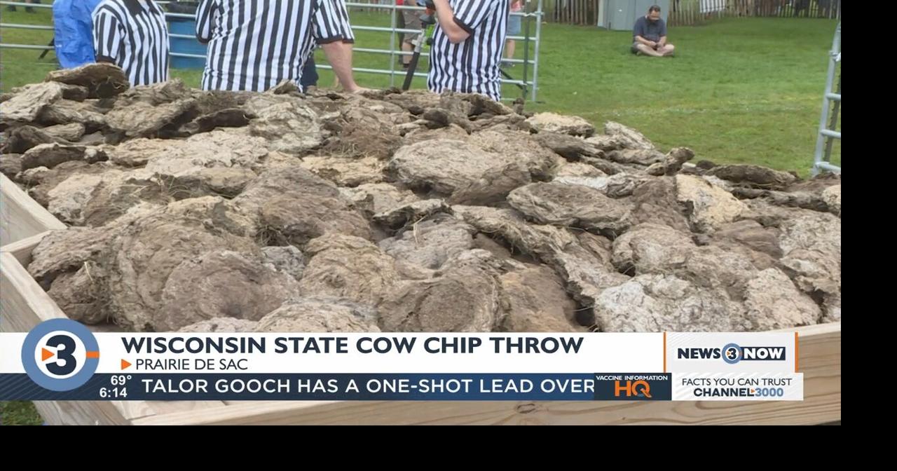 State Cow Chip throw shows best parts of the state through its “dairy ...