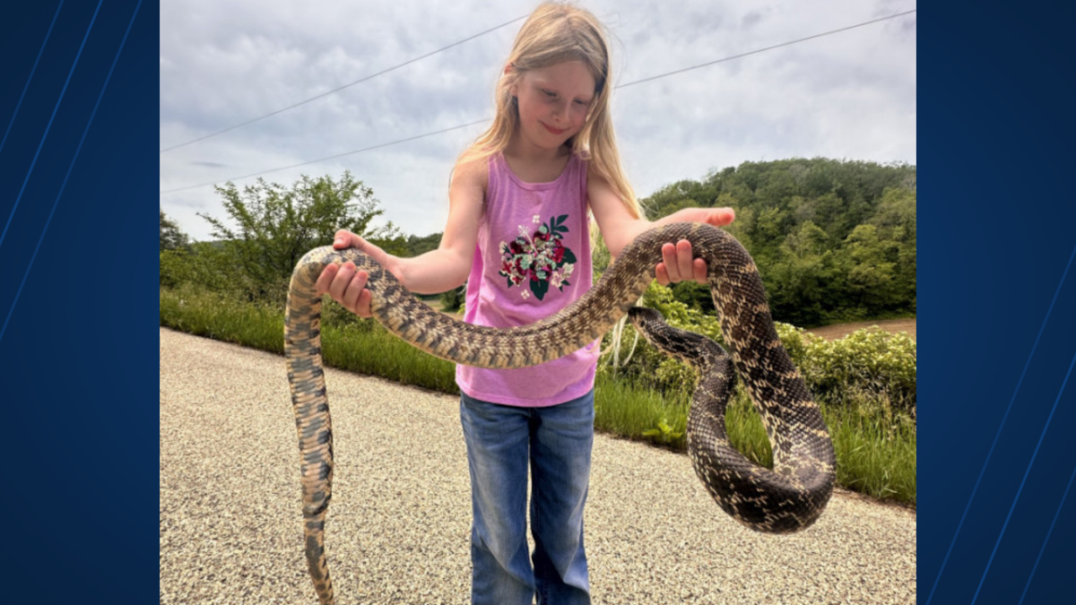 Madison girl reaches Junior Ranger quarterfinals | News | channel3000.com
