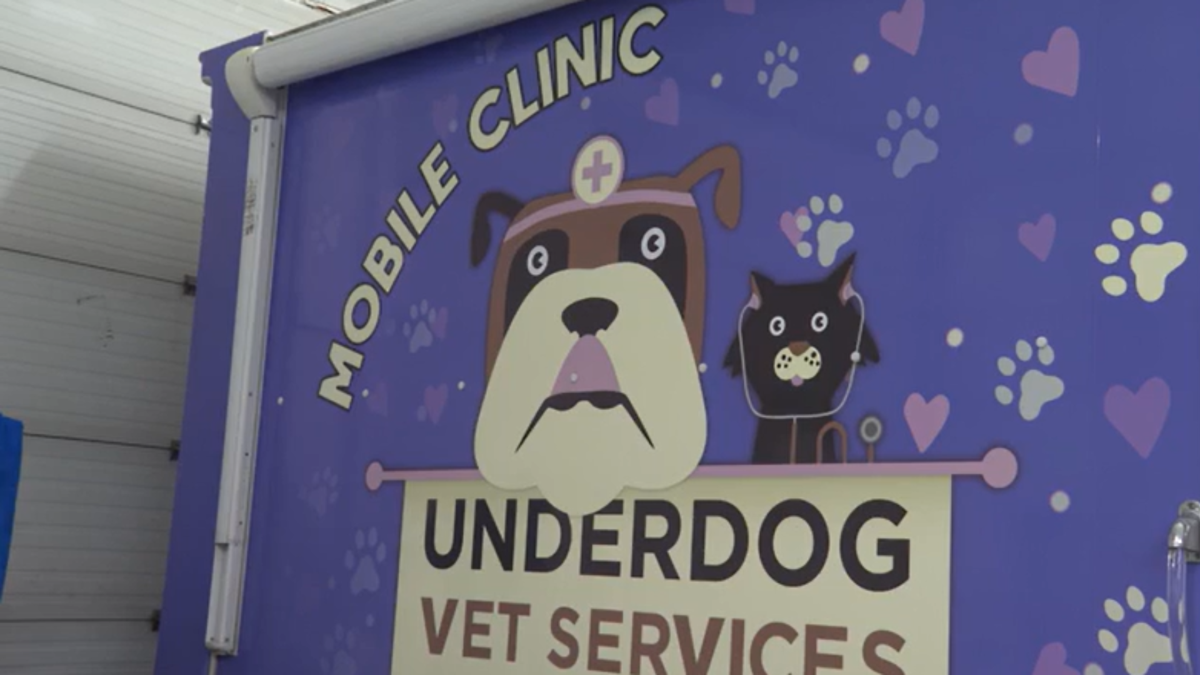 Nonprofit provides veterinary care for pets of the homeless in winter ...
