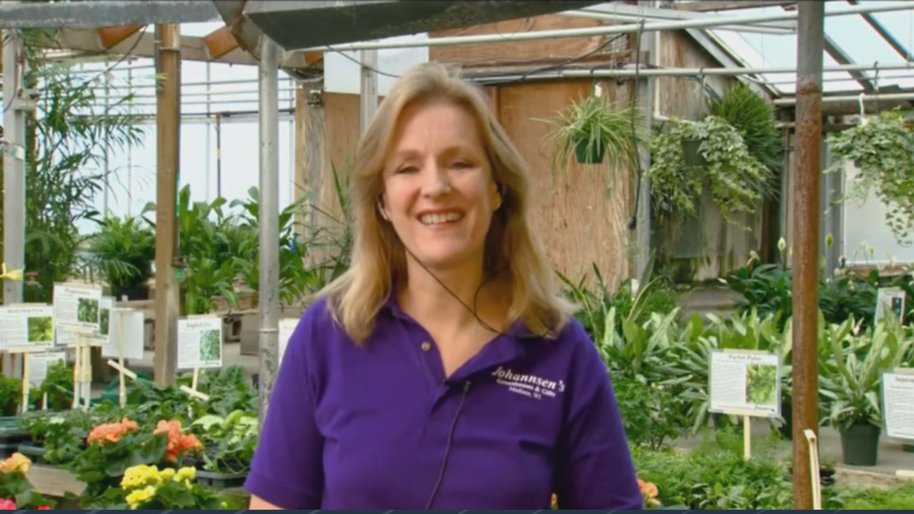 Fitchburg greenhouse owner, former News 3 Now contributor dies after ...