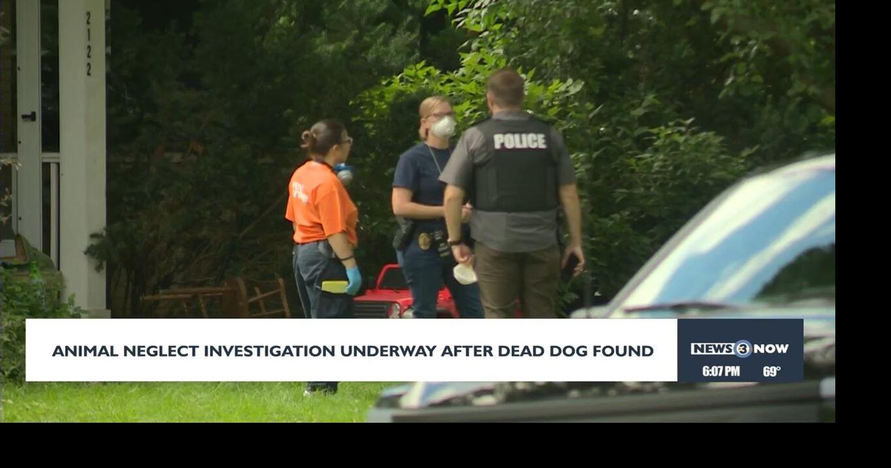 Identity of crash victim in Beloit released | Video | channel3000.com