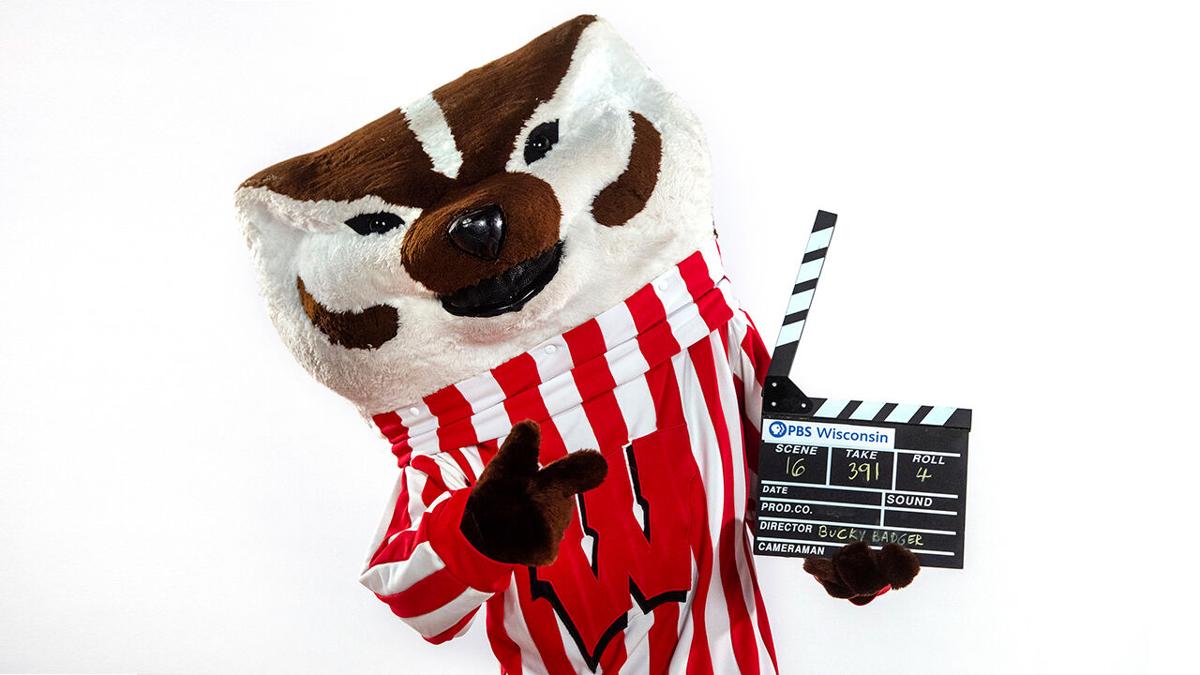 bucky badger