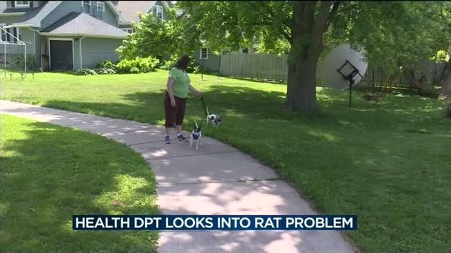 What you need to know: Wednesday | Local News | channel3000.com