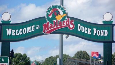Are you ready for some baseball? Madison Mallards open season at Duck ...