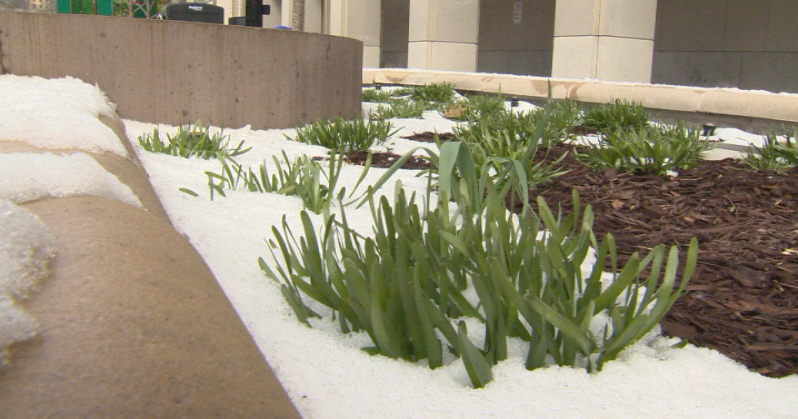 Spring snow showers could affect your happiness | Local News ...