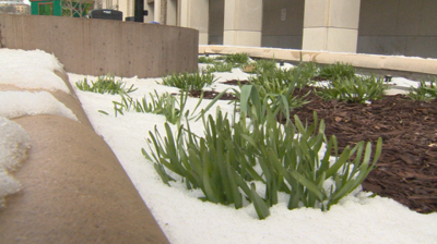 Spring snow showers could affect your happiness | Local News ...
