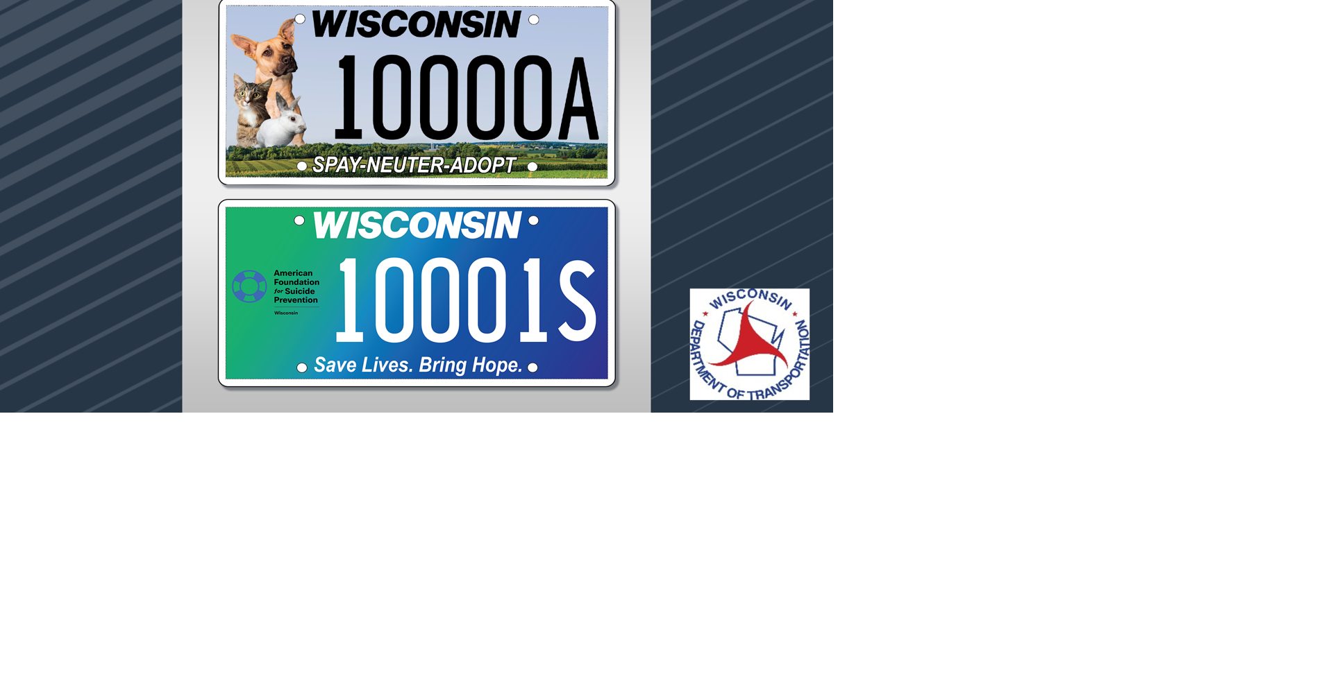 Wisconsin DMV releases two new specialty license plates | News ...