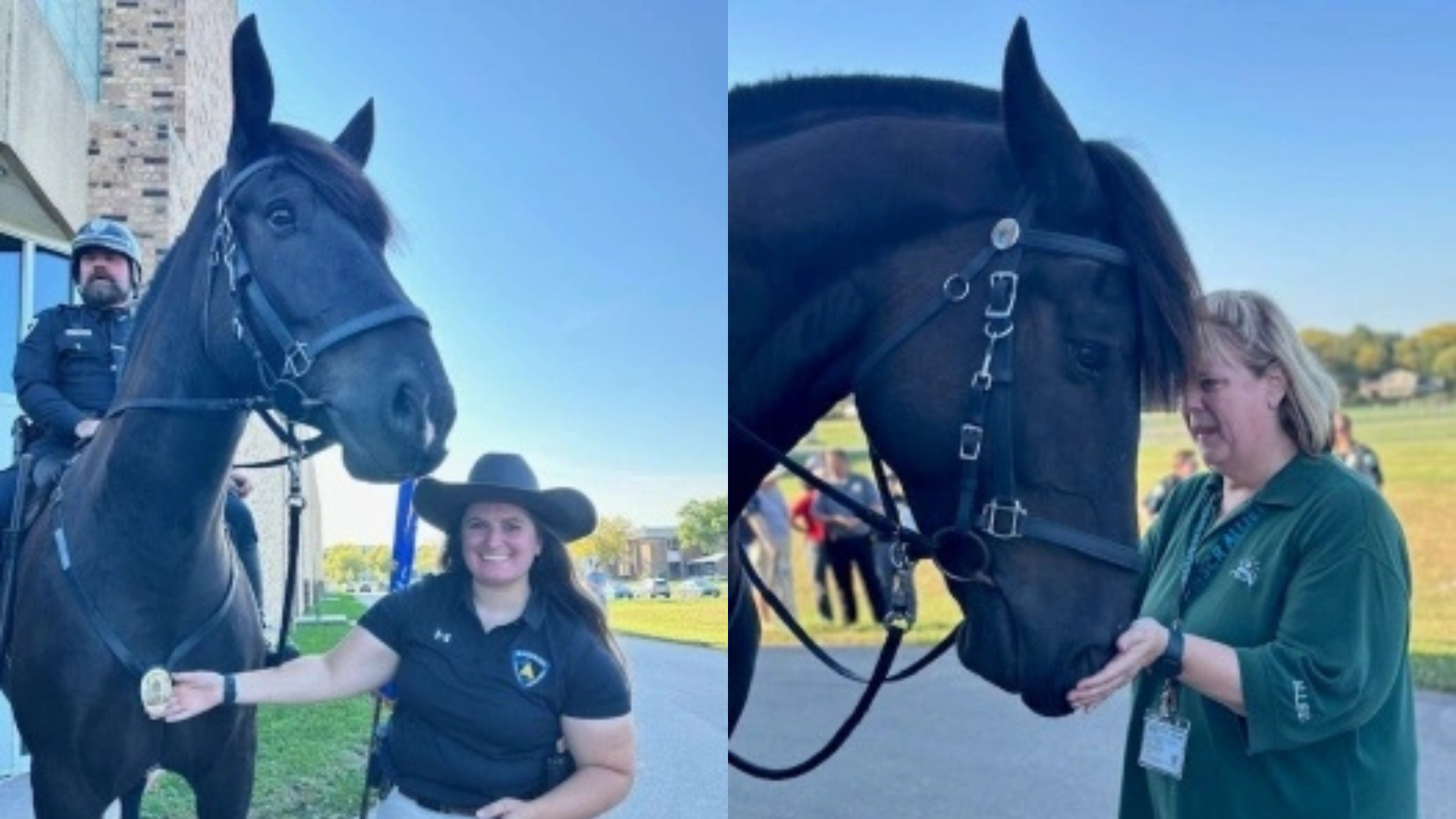 Madison police induct newest horse to Mounted Patrol Unit | News ...