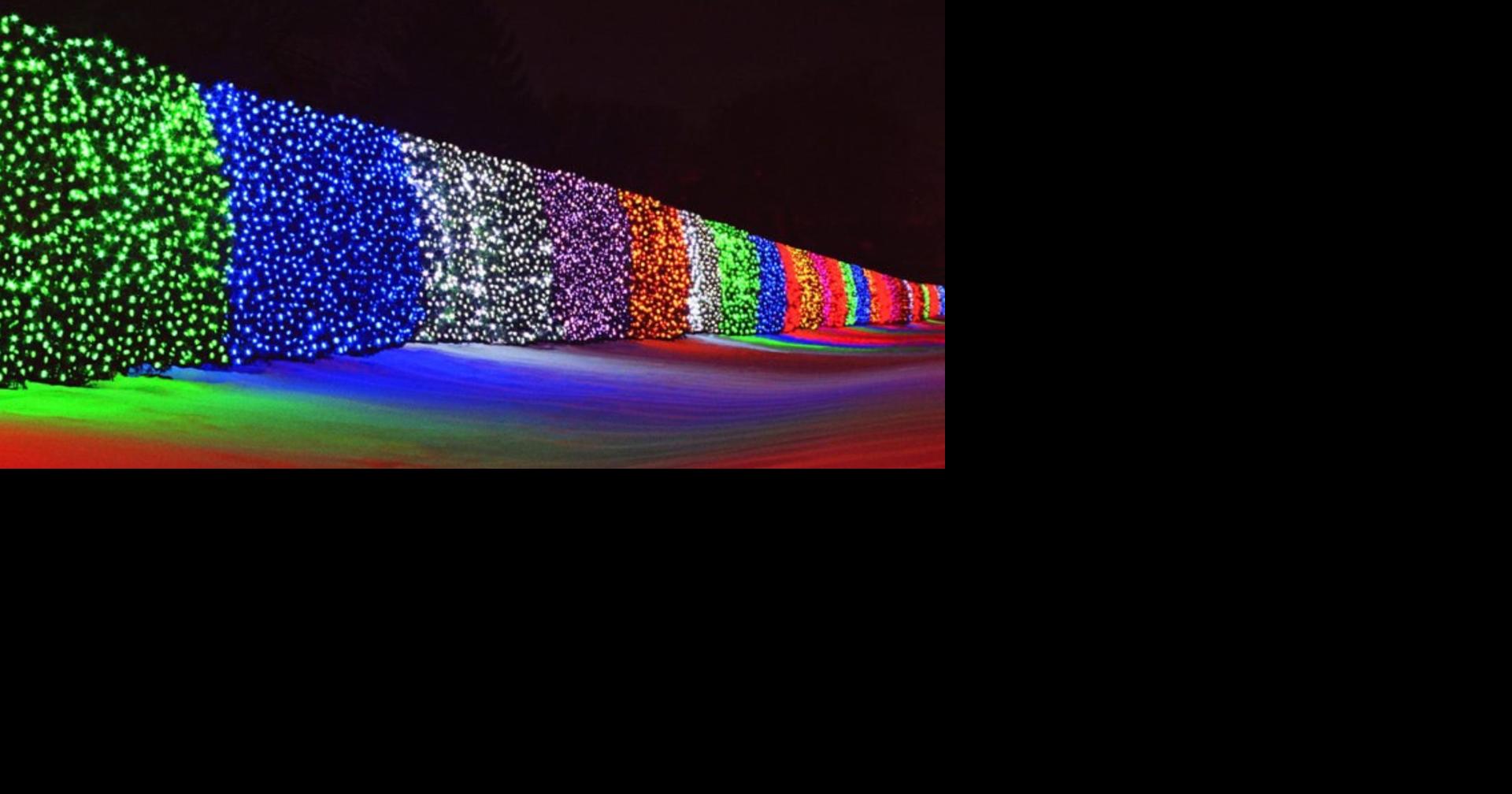 These 10 light displays make the season bright | MADISON MAGAZINE ...