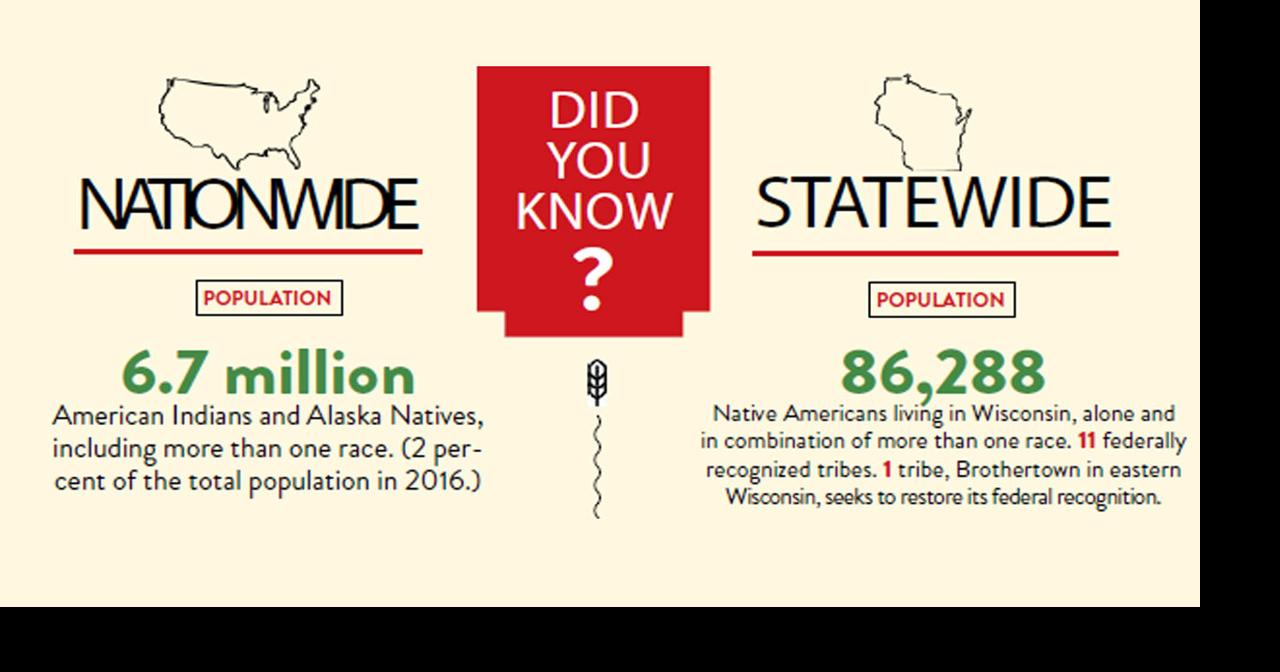 native american population statistics