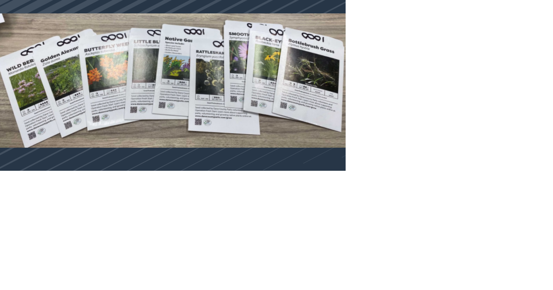 Madison public libraries offering free native plant seeds | News ...