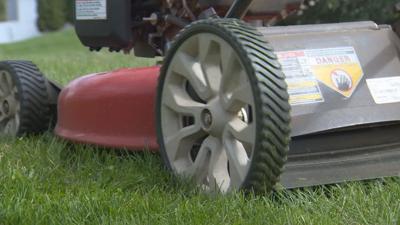 City of Madison asking homeowners to limit mowing as part of Low Mow ...