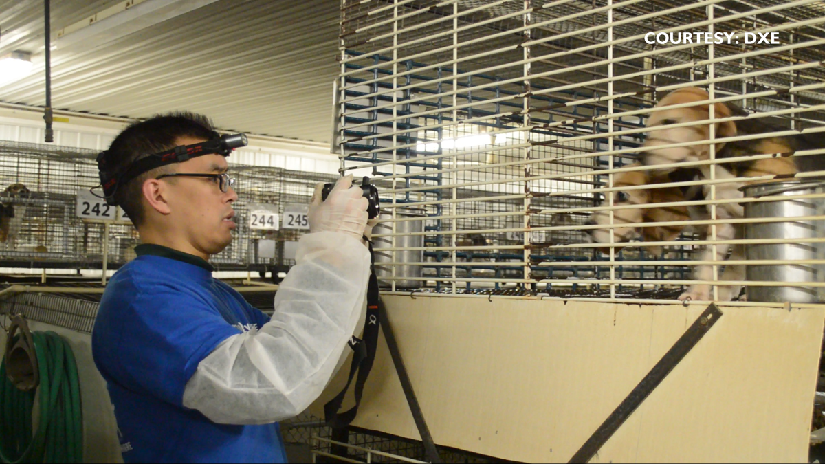 News 3 Now Investigates: Ridglan Farms Under Fire | News | channel3000.com