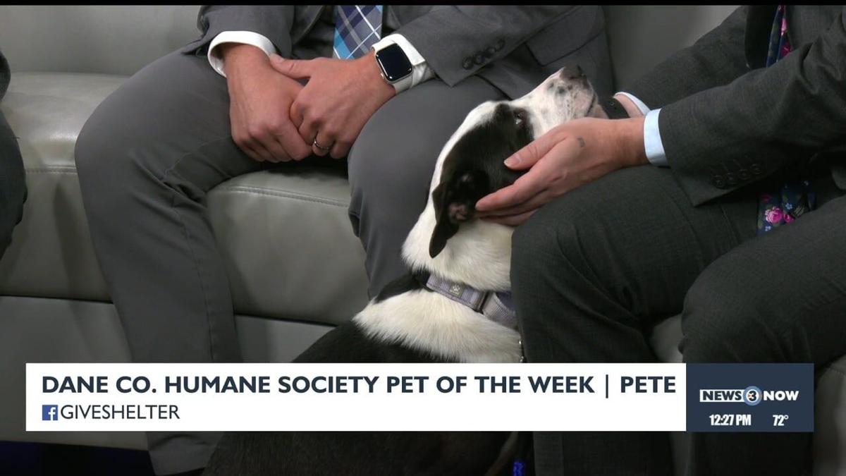 Channel 3000 | Madison, WI news and weather