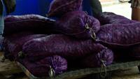 Crawfish season winds down after unpredictable year in Louisiana ...