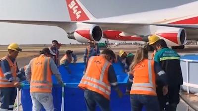 US firefighting supertanker plane helping fight Amazon fires | National ...