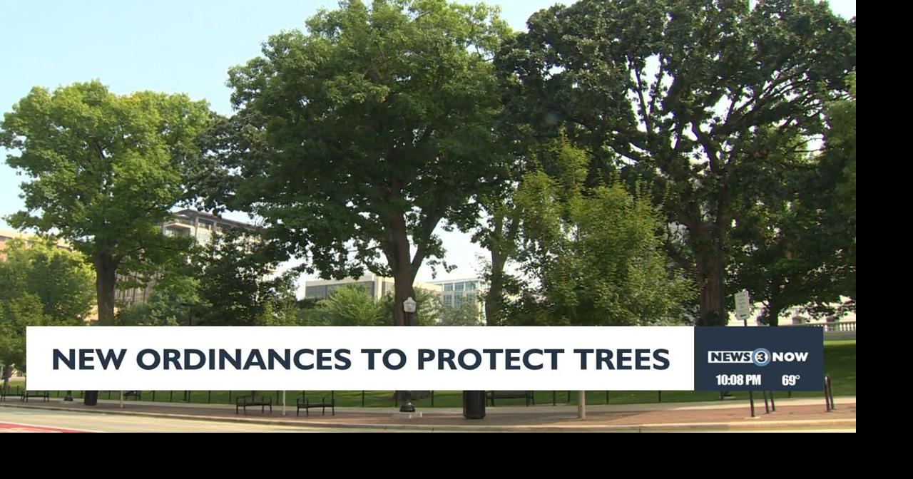 New ordinances to protect trees | Video | channel3000.com