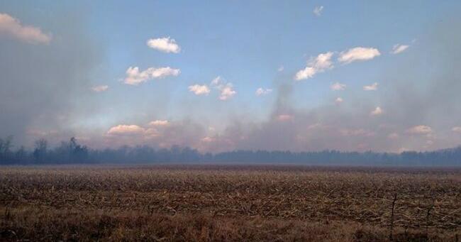 Crews contain wildfire that evacuates 40 Necedah homes | Local News ...