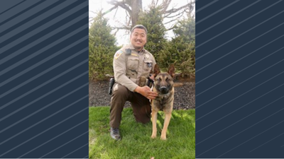 Dane Co. Regional Airport welcomes new K9 | News | channel3000.com