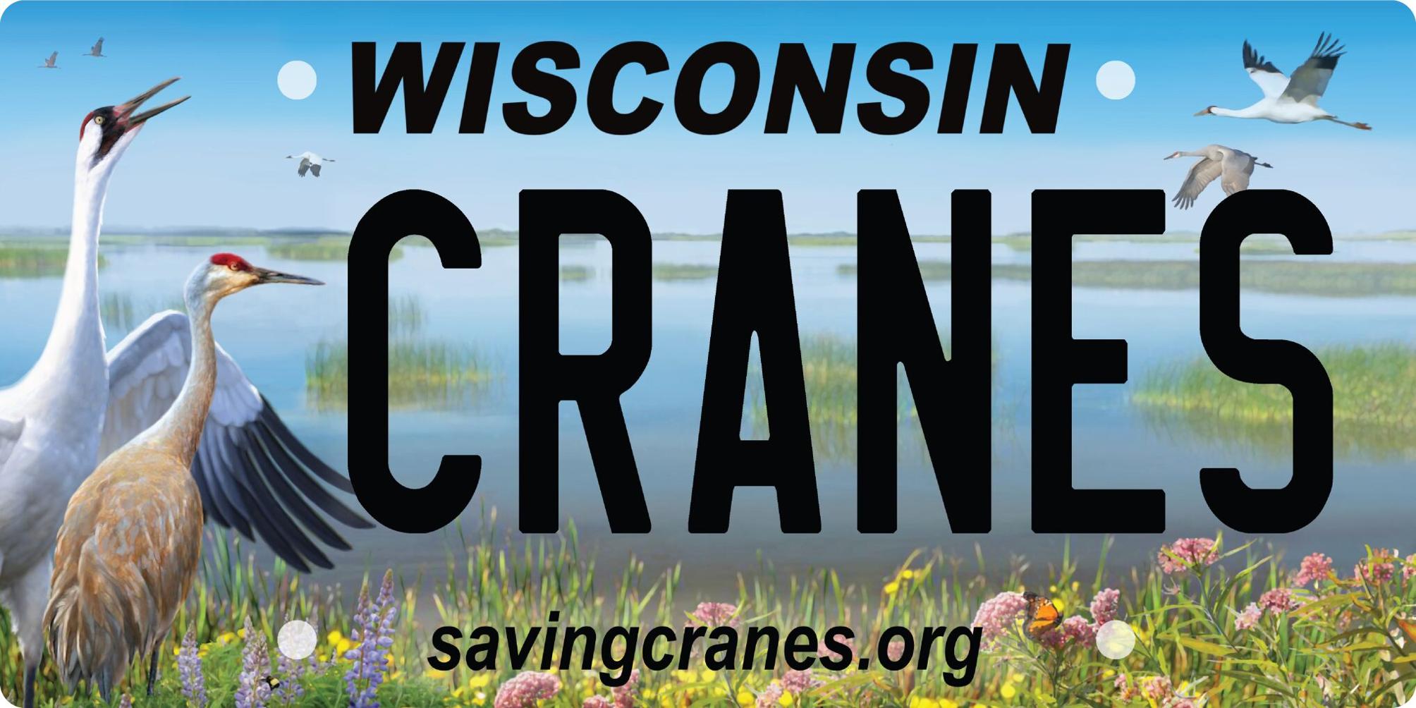 WisDOT reveals a new license plate that celebrates native crane species ...