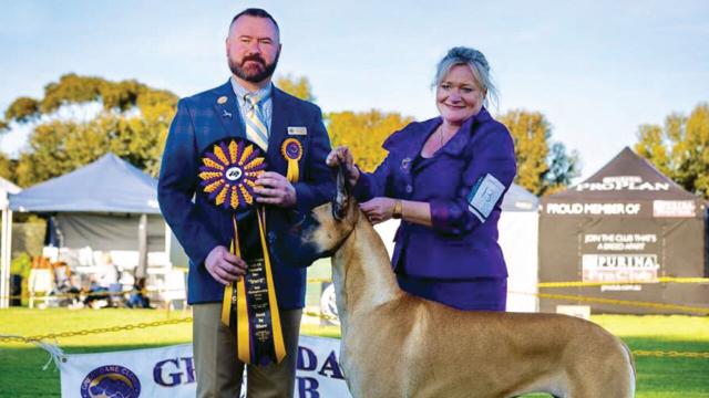 Jason Hoke judges dog shows around the world while remaining a top ...