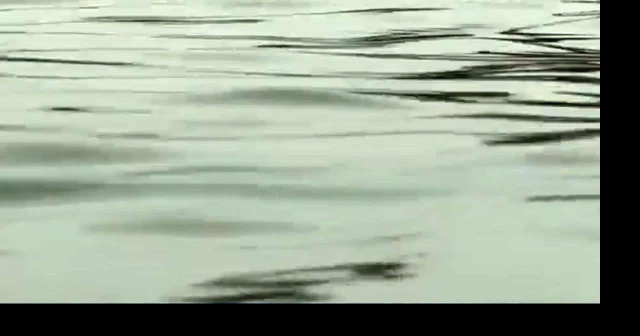 Body of missing Michigan boater found in northeast Wisconsin | Local ...