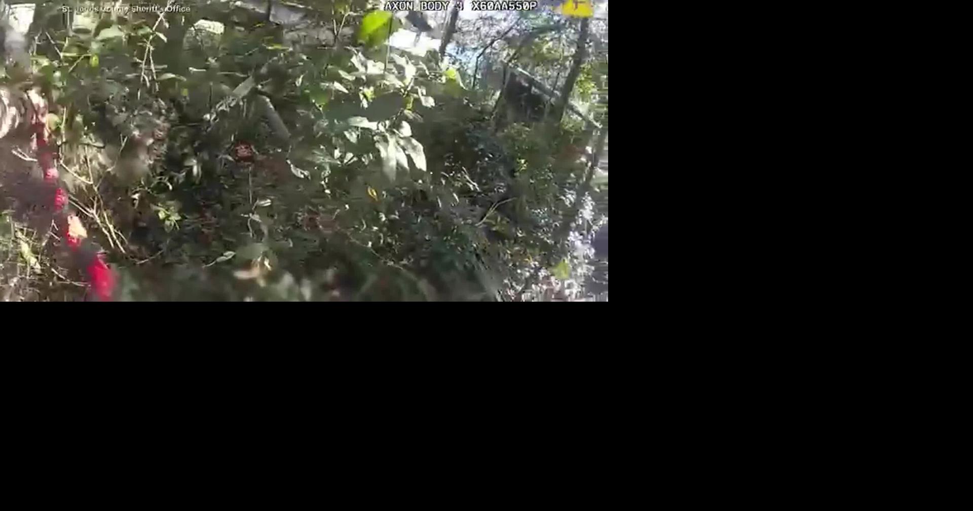 Viral bodycam video captures deputy wrangling large, runaway bird: "I ...