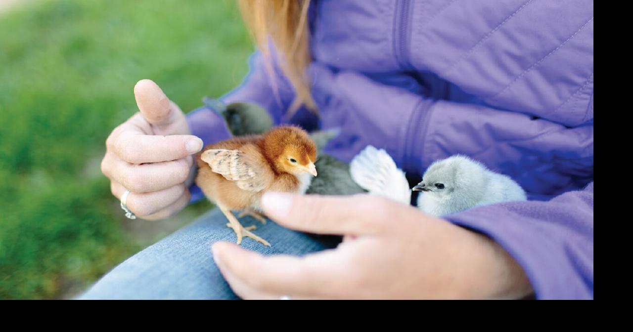 Stacey Bean went from physician to healer | City Life | channel3000.com