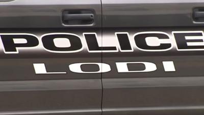 Lodi police provide tips after several fox sightings | Local News ...