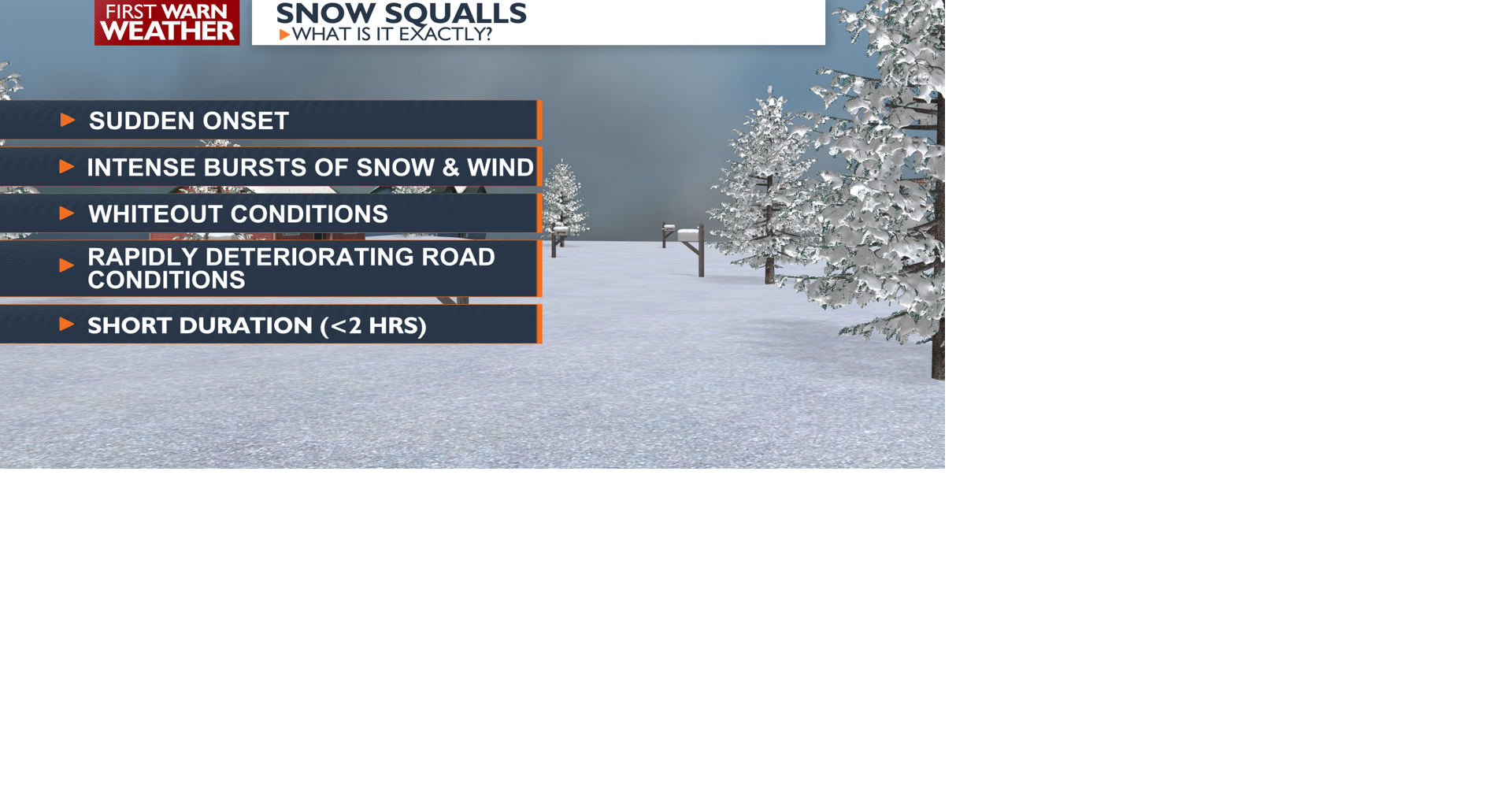 Snow Squall.png | | channel3000.com
