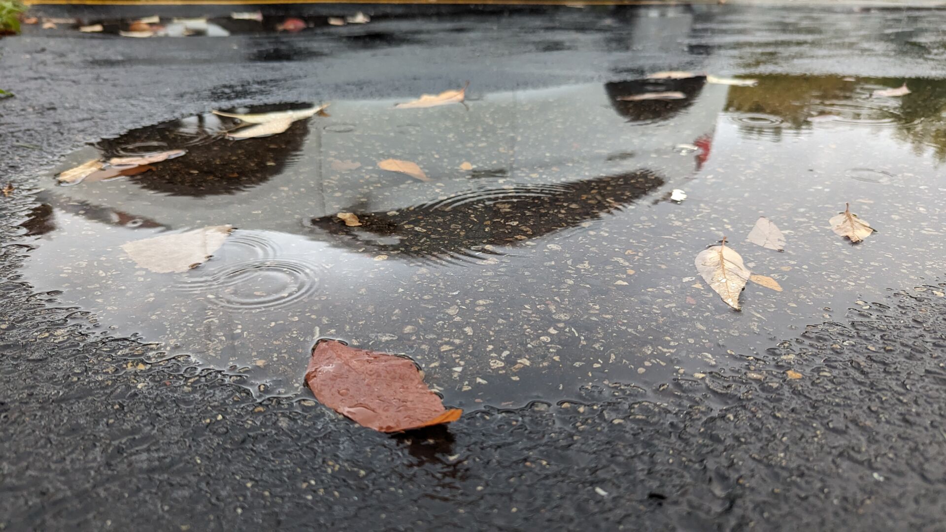 Rain washes out Homecoming parades around south-central Wisconsin ...