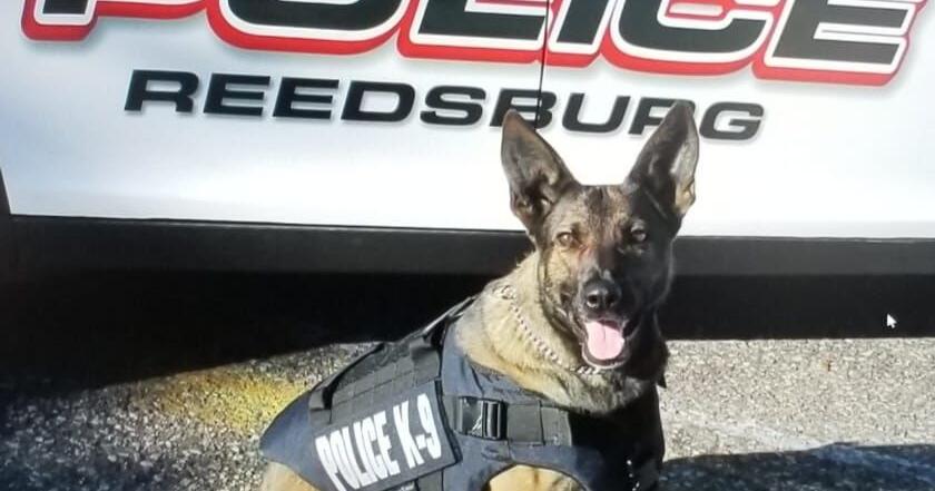 Reedsburg PD ‘Back the Badge’ signs fundraisers supports K-9 unit ...