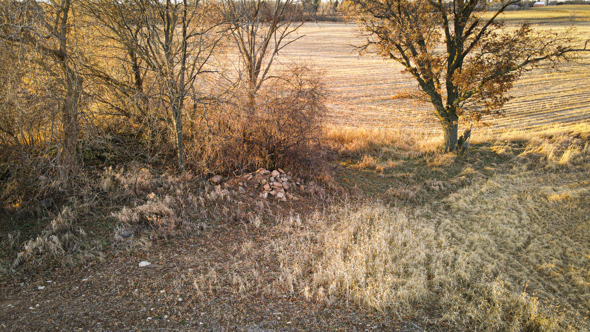 Dane Co. launches pilot program to protect farmland, water quality ...