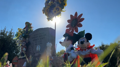 Decade after 2-year-old's death in Ohio, her organ donor recipient ...