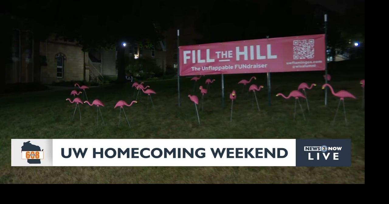 In the 608: ‘Fill the Hill’ returns to UW-Madison with flock of pink ...