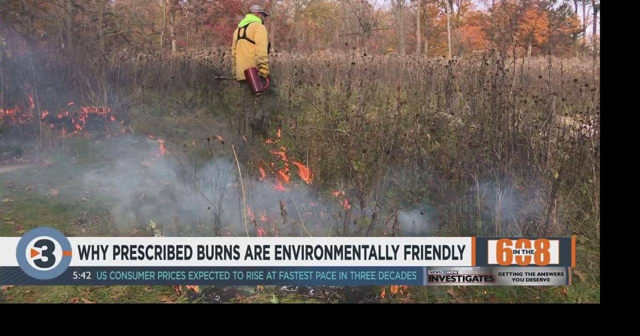 In the 608: Meet the man behind Madison’s prescribed burns | Features ...