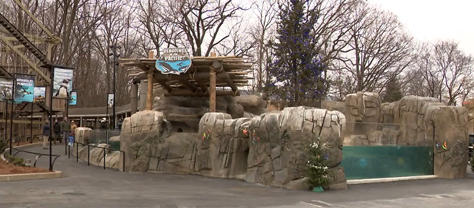 Milwaukee County Zoo unveils renovated penguin exhibit with immersive ...
